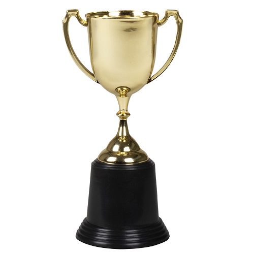 Trofee goud 22cm